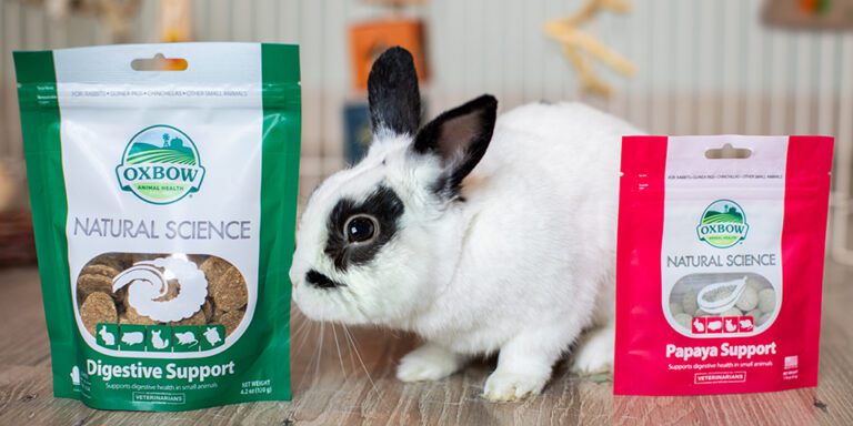 Getting to Know Supplements: Natural Science Papaya Support Information