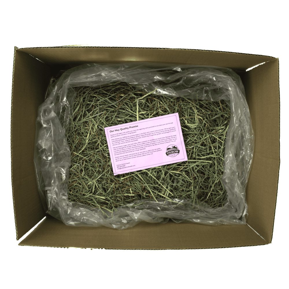 Orchard Grass - Oxbow Animal Health