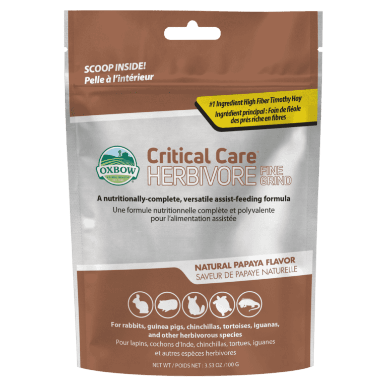 Small Animal Products by Oxbow Animal Health | Shop Today