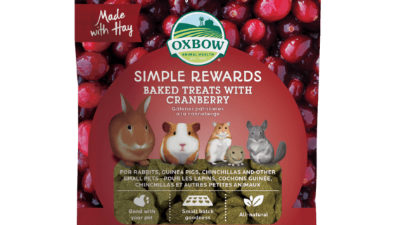 Simple Rewards Strawberry Treats - Oxbow Animal Health