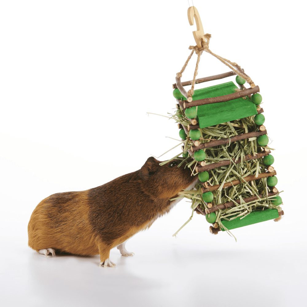 Enriched Life - Apple Stick Hay Feeder - Oxbow Animal Health