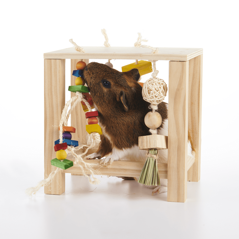 Enriched Life - Play Table - Oxbow Animal Health