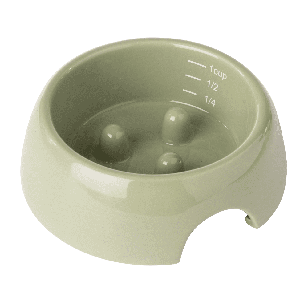 Enriched Life - Forage Bowl - Oxbow Animal Health