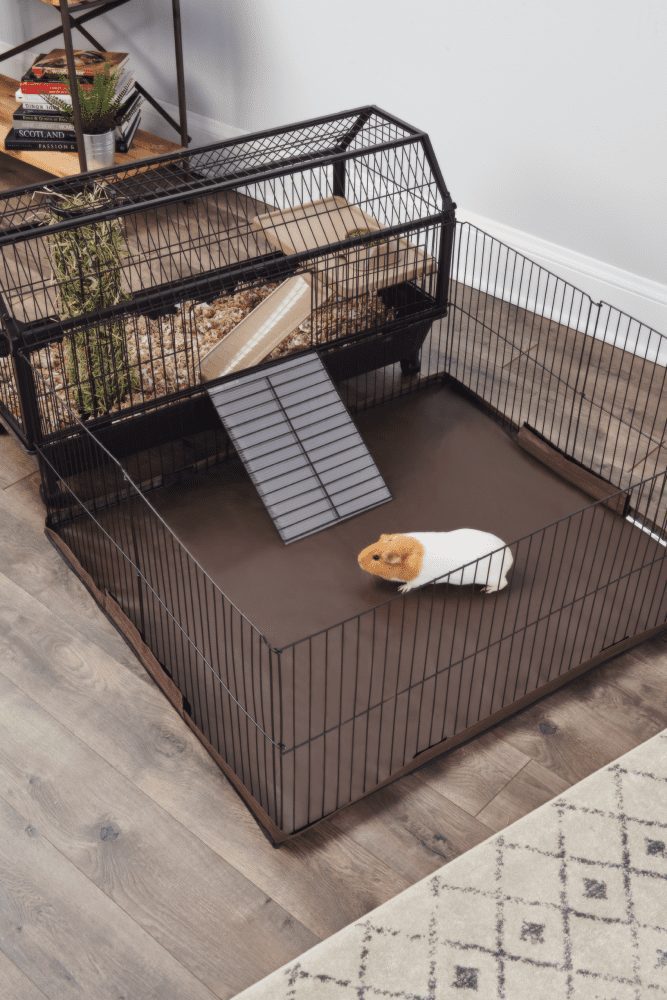 Bunny Food Enriched Life - Leakproof Play Yard Floor Cover - Oxbow ...