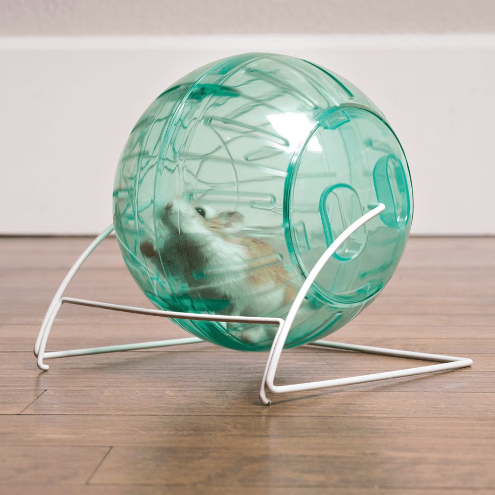 Enriched Life - 2-in-1 Fitness Ball - Oxbow Animal Health