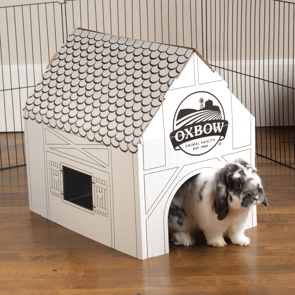 Enriched Life - Design Your Own Hideaway House - Oxbow Animal Health