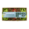Enriched Life - Garden Dig Box - Oxbow Animal Health
