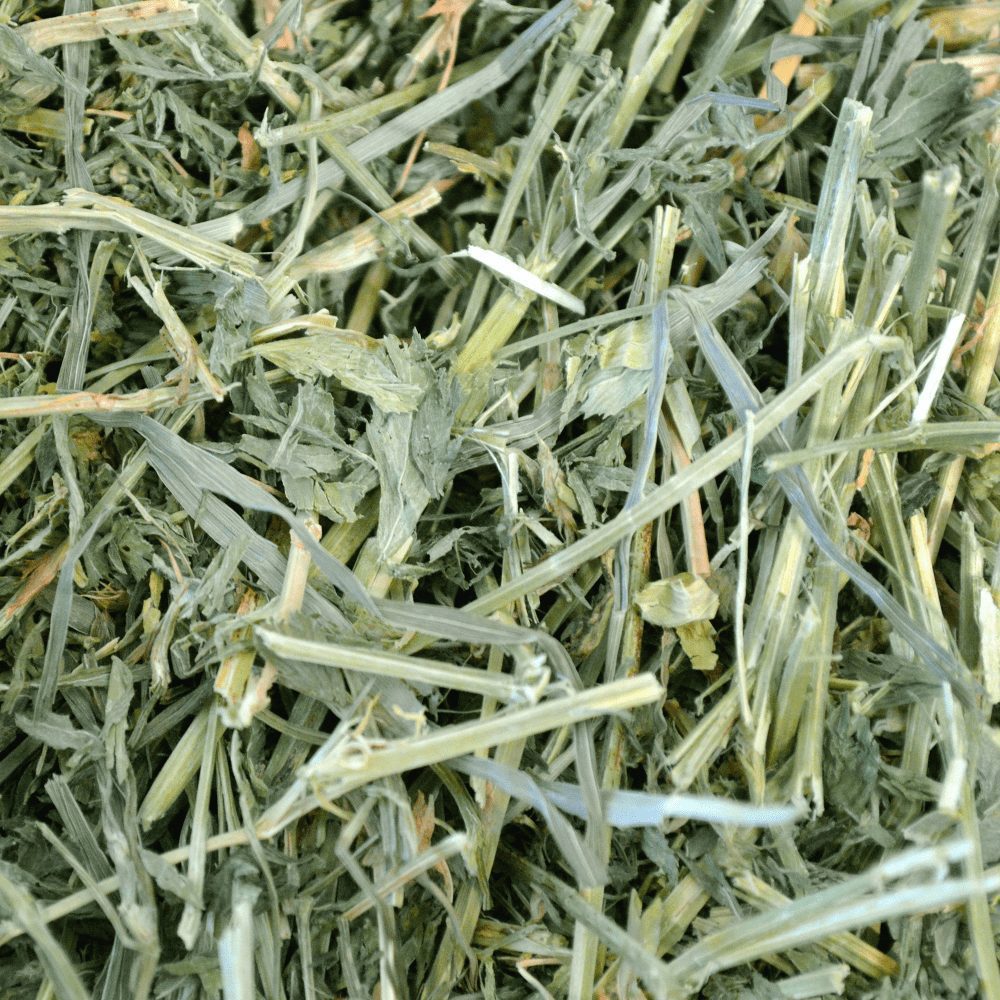 Oxbow Animal Health | Alfalfa Hay