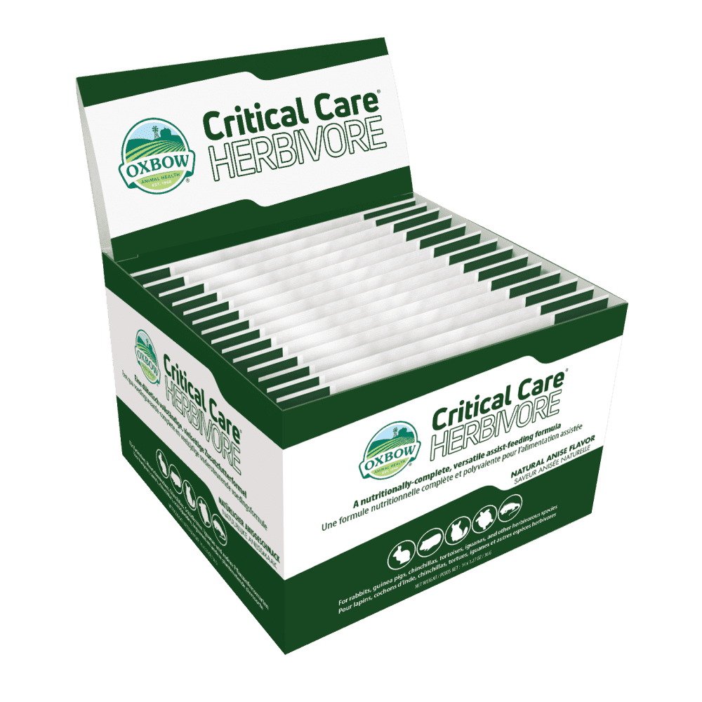 Critical Care Food for Herbivores | Oxbow Animal Health
