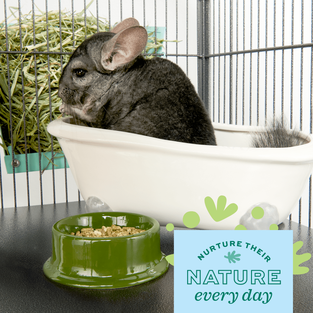 POOF! Chinchilla Dust Bath - Oxbow Animal Health