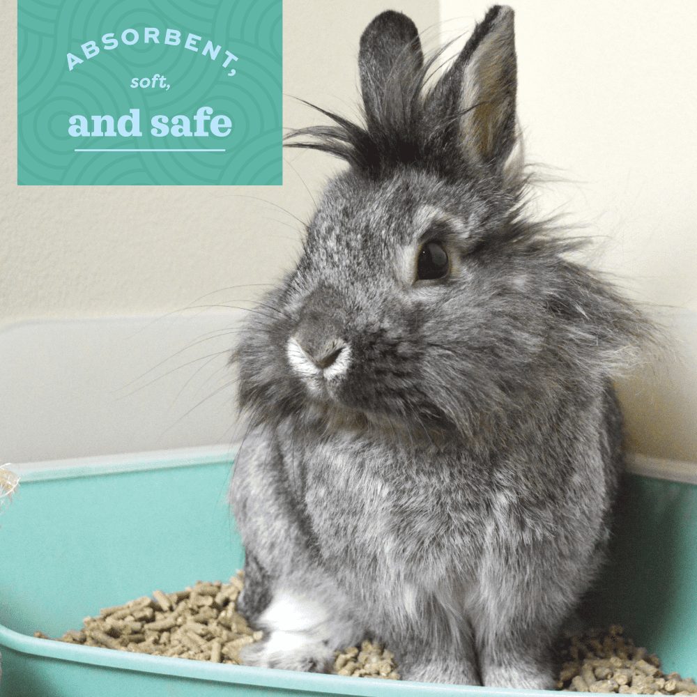 Eco-Straw Litter - Oxbow Animal Health