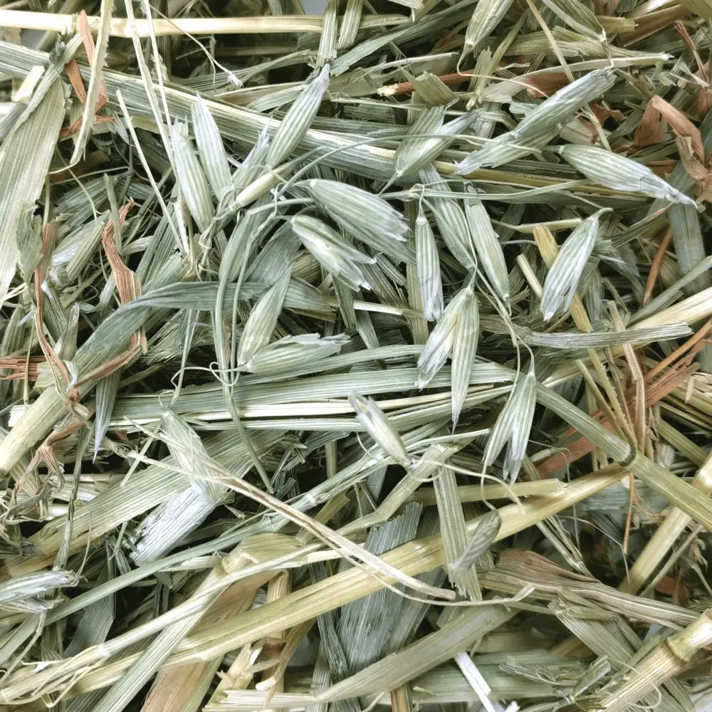 Oat Hay - Oxbow Animal Health