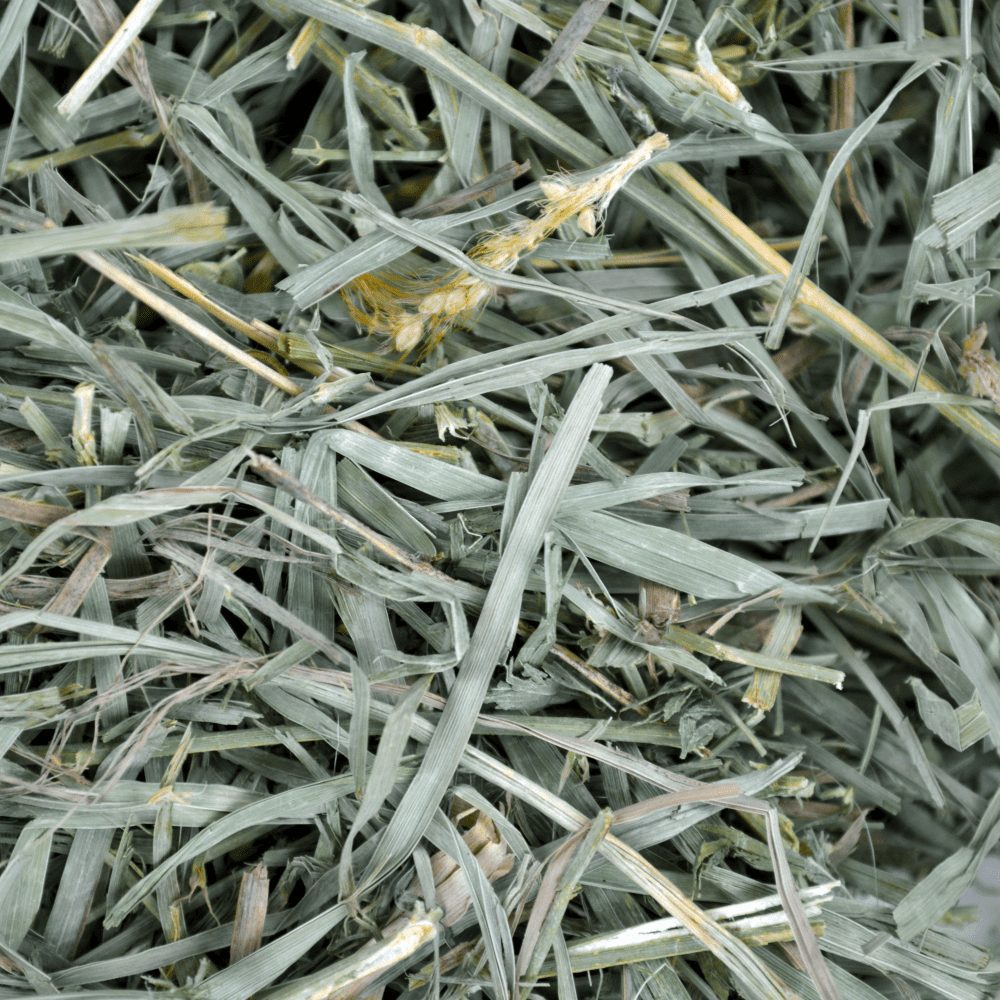 Organic Meadow Hay - Oxbow Animal Health