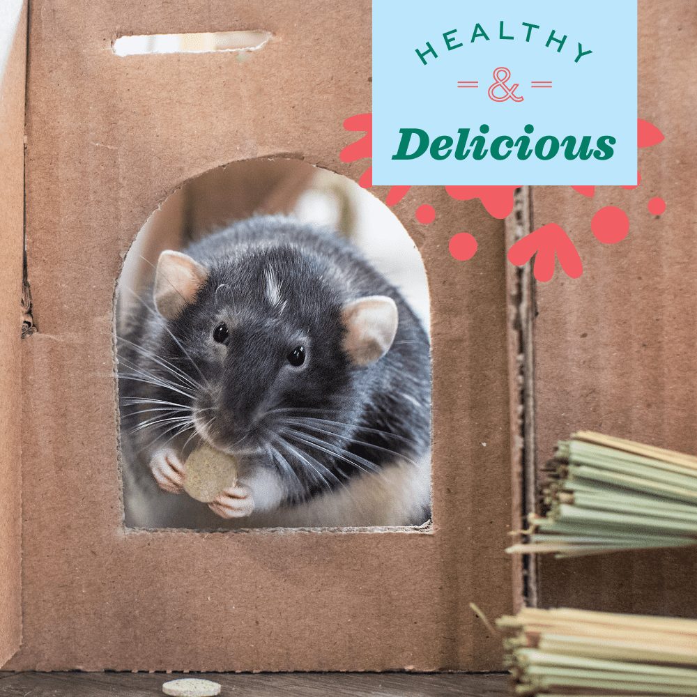 Oxbow Animal Health | Natural Science Papaya Support