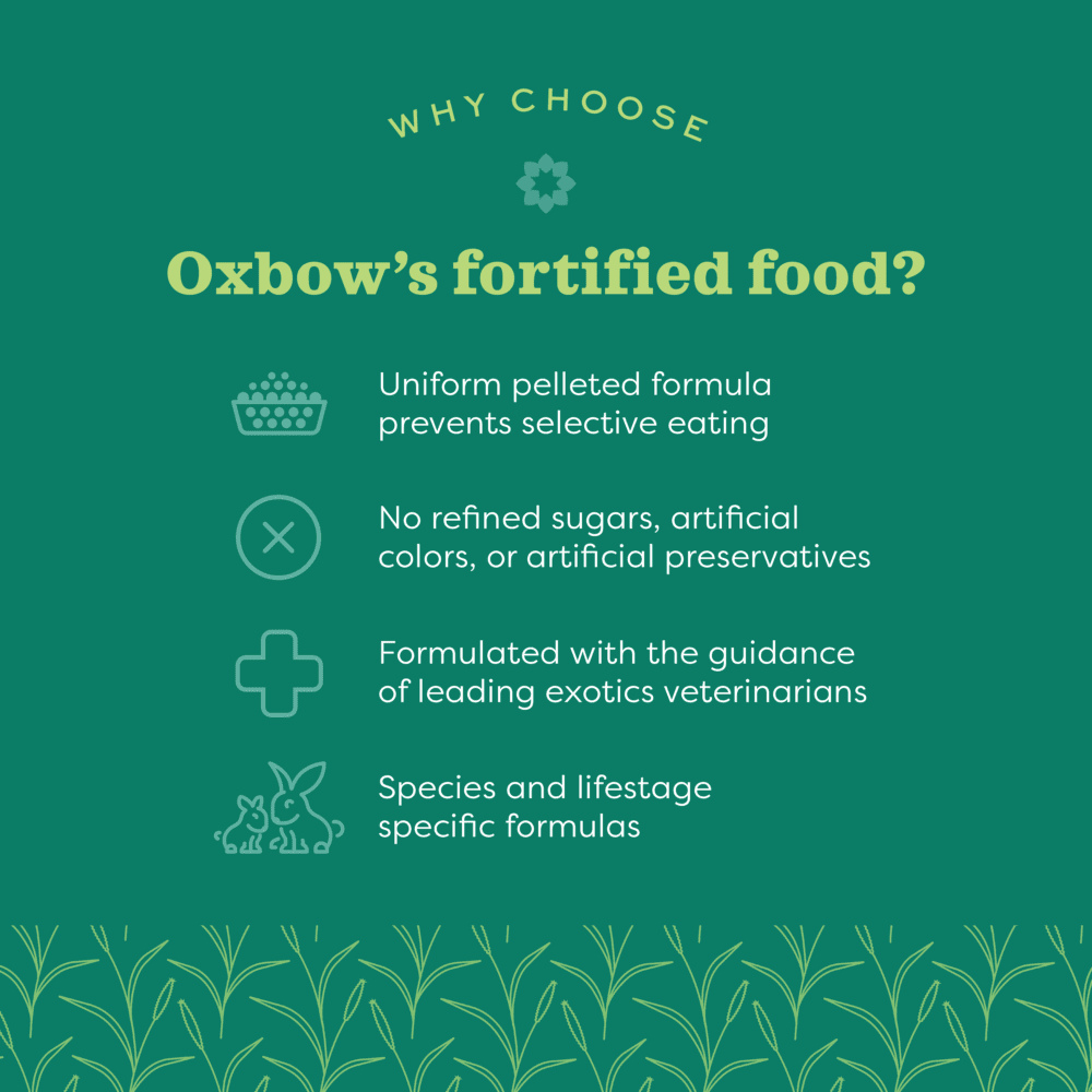 Oxbow Animal Health Essentials | Adult Rabbit Food