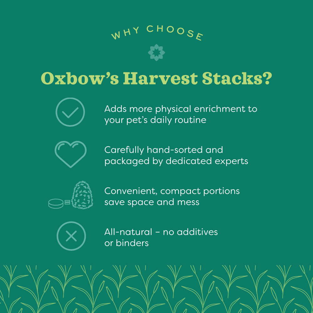 Harvest Stacks - Western Timothy & Chamomile - Oxbow Animal Health