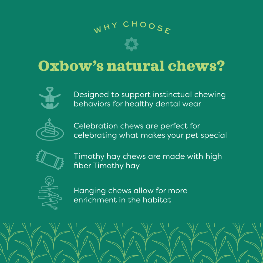 Enriched Life - Celebration Party Pack - Oxbow Animal Health
