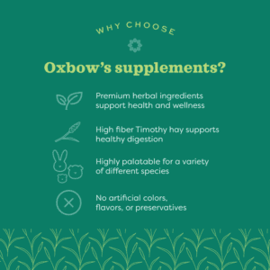 Natural Science Vitamin C Support - Oxbow Animal Health