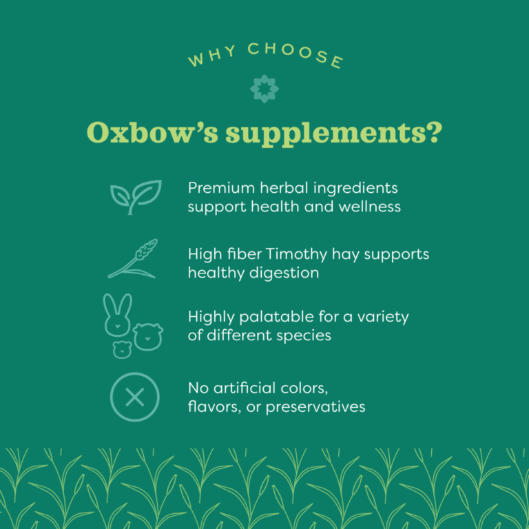 Natural Science Vitamin C Support - Oxbow Animal Health