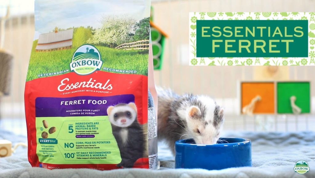Essentials Ferret Food - Oxbow Animal Health