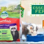 Essentials Ferret Food - Oxbow Animal Health