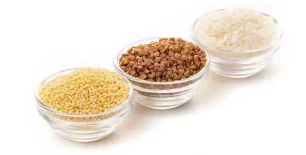 Natural Science Joint Support - Oxbow Animal Health