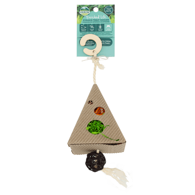Enriched Life Pyramid Treat Hanger | Oxbow Animal Health