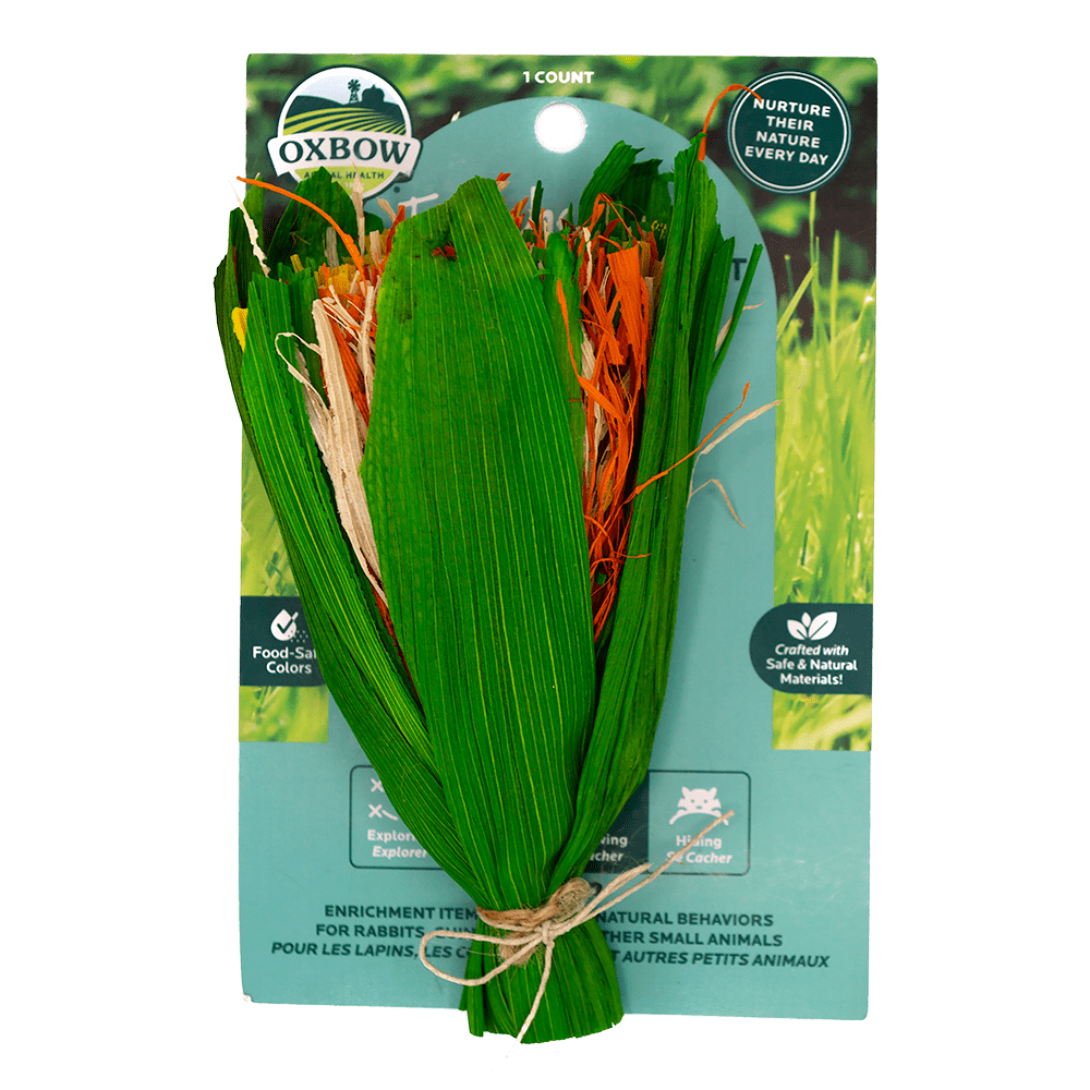 Enriched Life Celebration Bouquet | Oxbow Animal Health