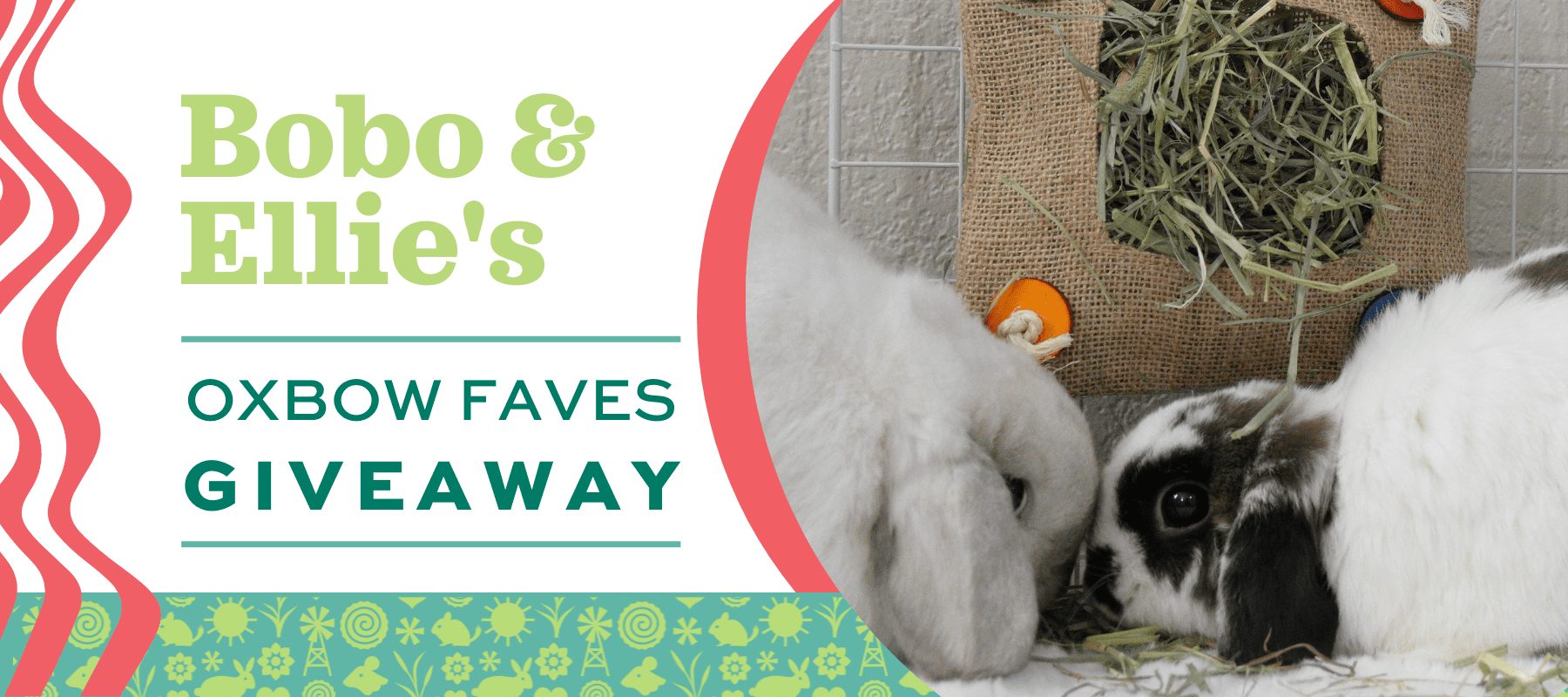 Bobo and Ellie's Oxbow Faves Giveaway - Oxbow Animal Health