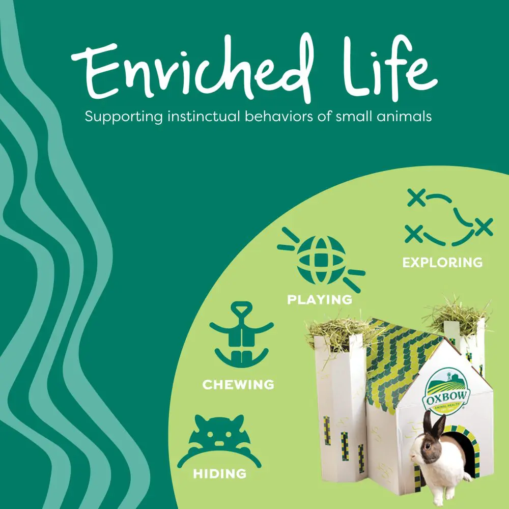 Enriched Life Bamboo Ball Pit | Oxbow Animal Health