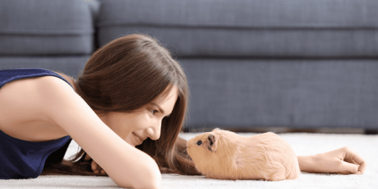 Helpful Tips for Living with Multiple Pet Species - Oxbow Animal Health