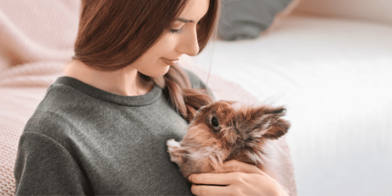 How to Prevent & Treat Bladder Sludge in Rabbits and Guinea Pigs