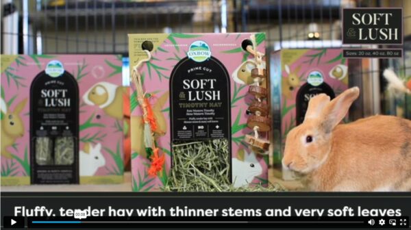 Prime Cut Timothy Hay | Soft & Lush | Oxbow Animal Health
