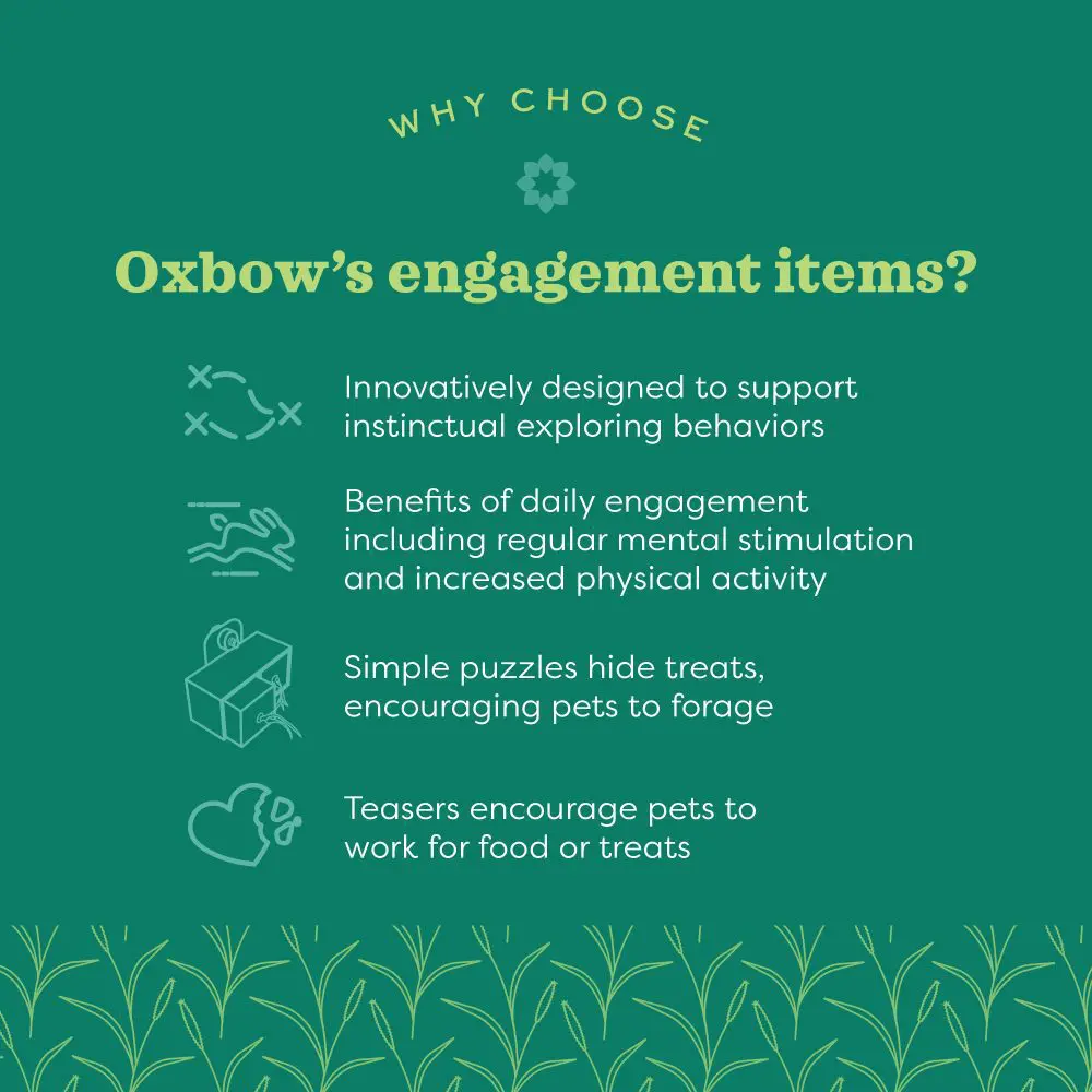 Enriched Life Burrow Box | Oxbow Animal Health