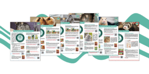 Pet Care Sheets & Pet Care Guides for Small Pets