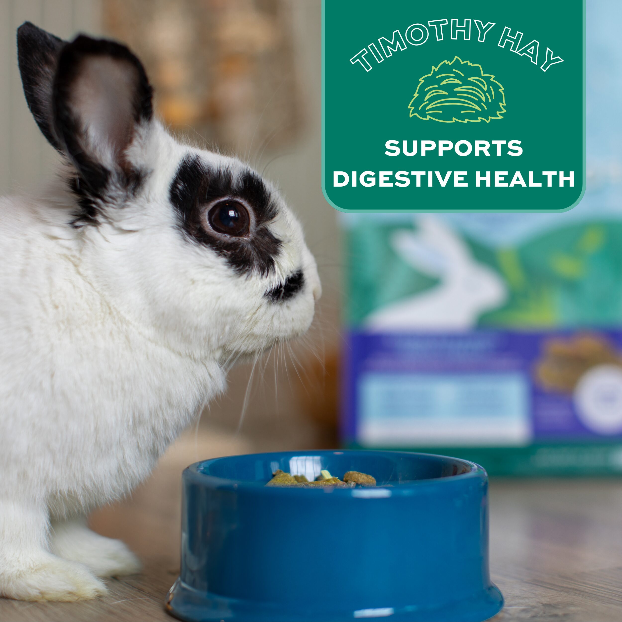 Forage Wise Adult Rabbit Food - Oxbow Animal Health