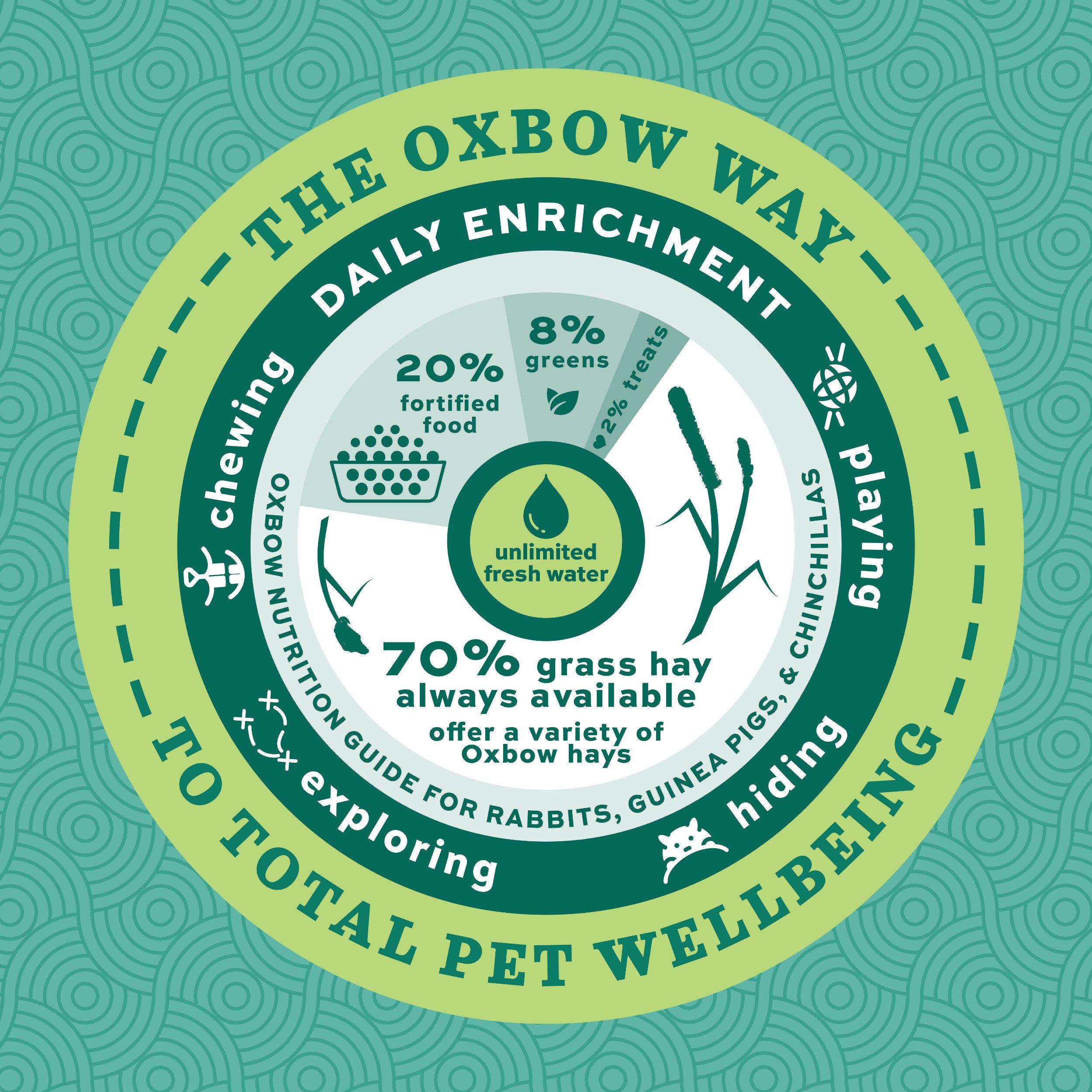 Forage Wise Adult Rabbit Food - Oxbow Animal Health