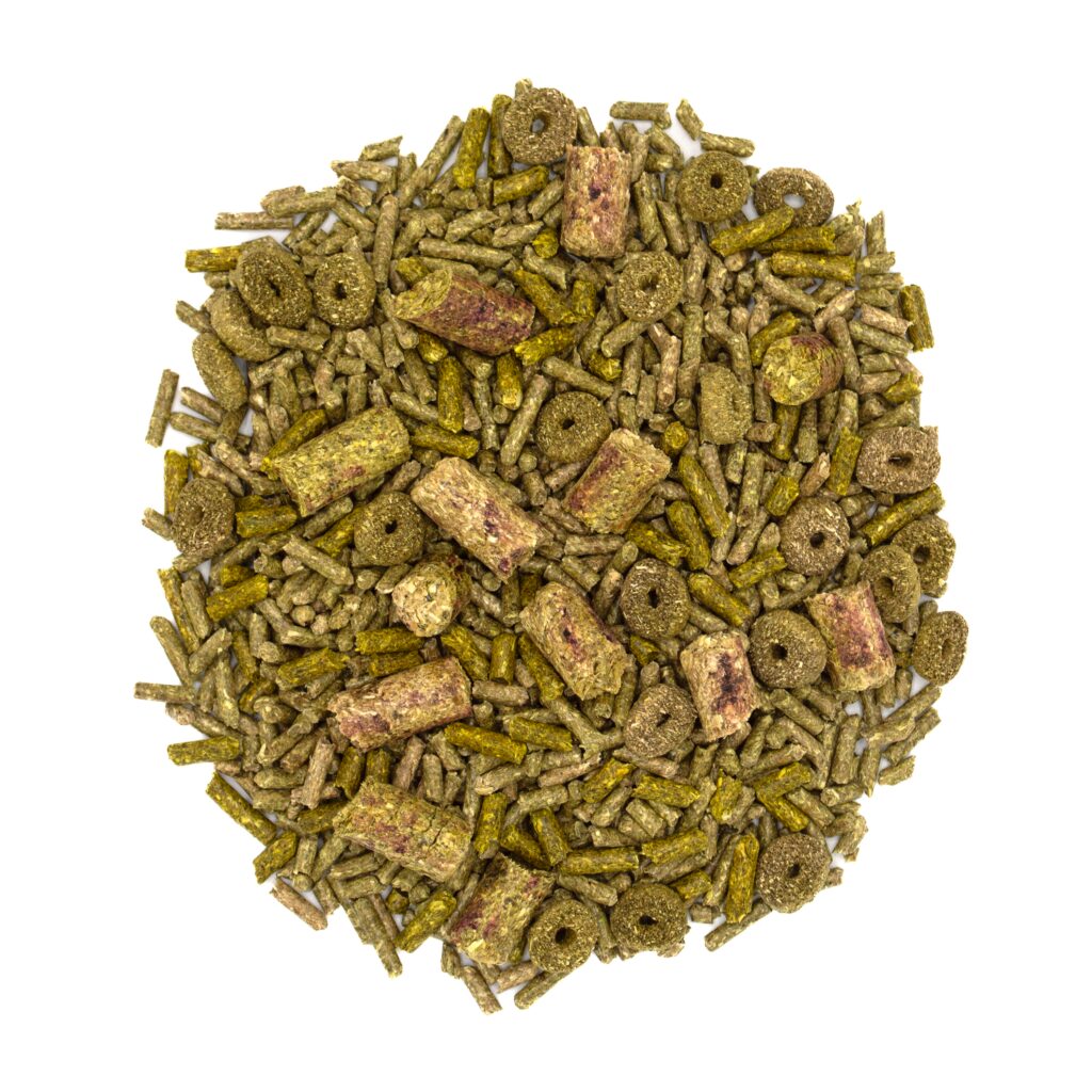 Forage Wise Adult Rabbit Food - Oxbow Animal Health