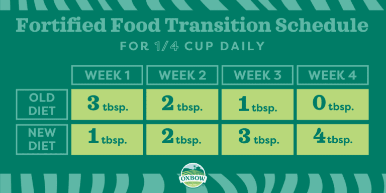 How to Change Your Pet's Food: Diet Transitions for Exotic Mammals