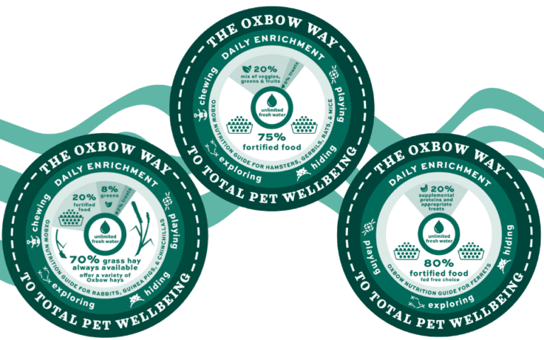 A Side by Side Look at Oxbow Foods: Which Oxbow Food is Best for My Pet ...
